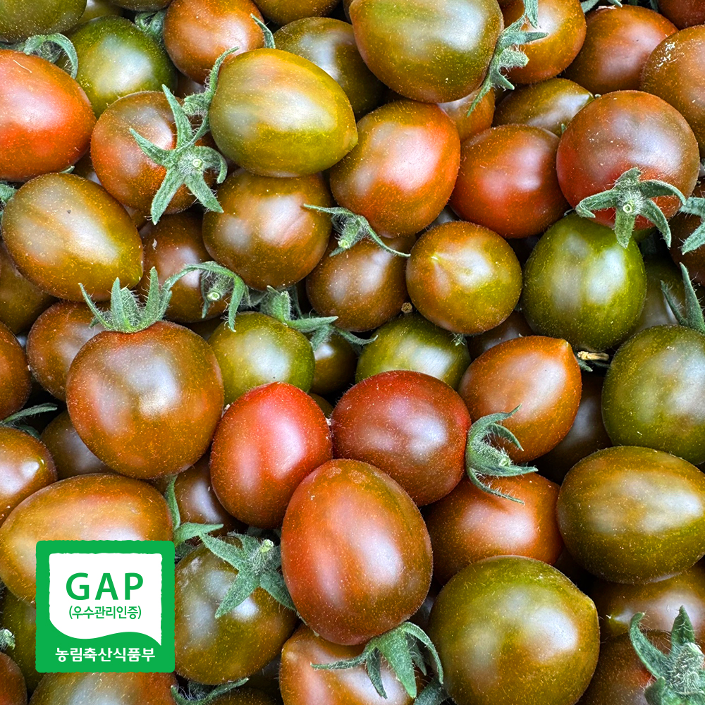 [GAP인증] 부산 대저 프리미엄 흑대추 방울토마토 500g/1kg/2kg
